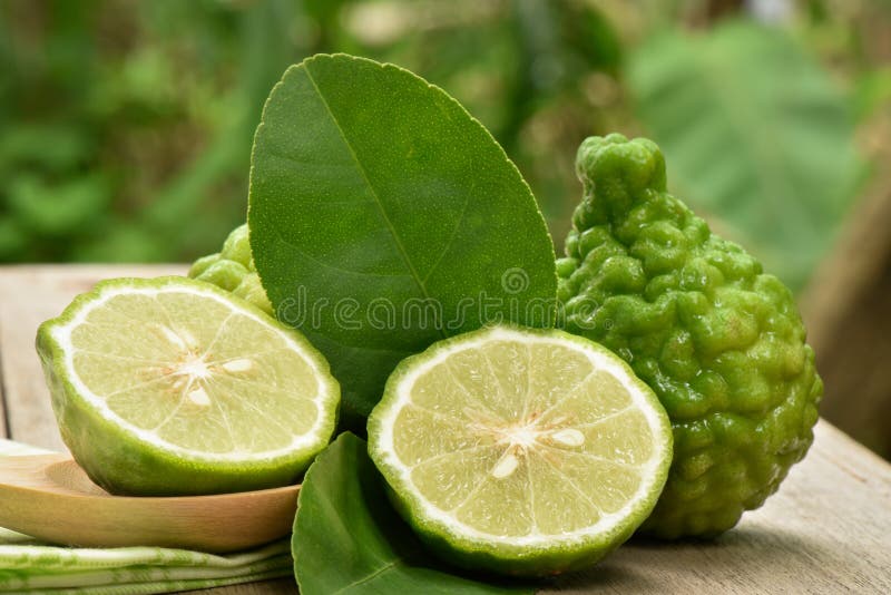 Closeup bergamot slice stock image. Image of ancient - 76412303