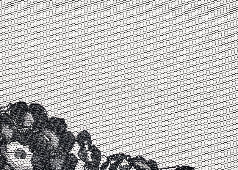 Wine Glass with Grapes stock photo. Image of produce - 11101182