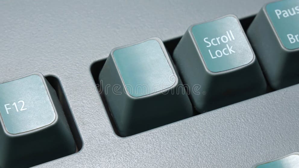 Use Blank Lock Stock Photos - Free & Royalty-Free Stock Photos from ...