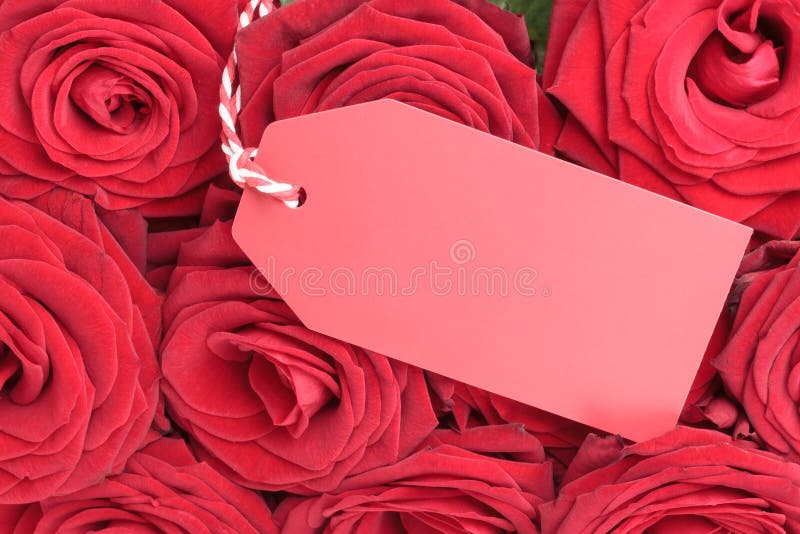 Closeup of Blank Tag with Roses Stock Photo - Image of amour, blank ...