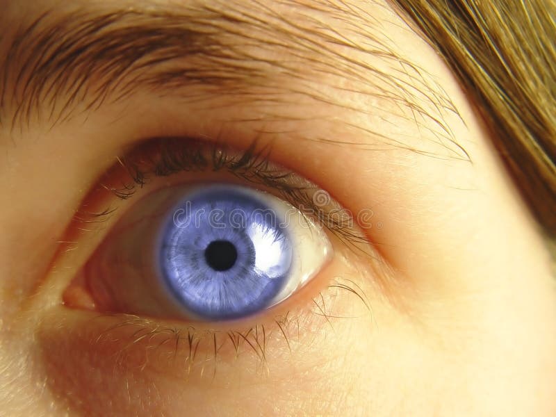 Eyes stock image. Image of pose, people, eyes, beauty - 1315973