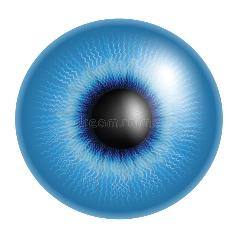 Closeup blue eye ball stock vector. Illustration of macro - 243058801