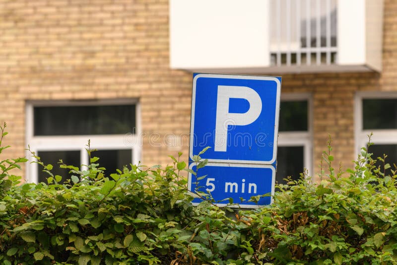 Closeup of a Blue Parking Sign Stock Photo - Image of parking, blue ...