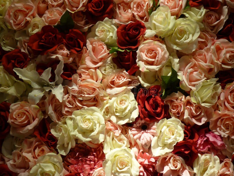 Closeup of a Bouquet of Roses Under the Lights - Perfect for Wallpapers ...