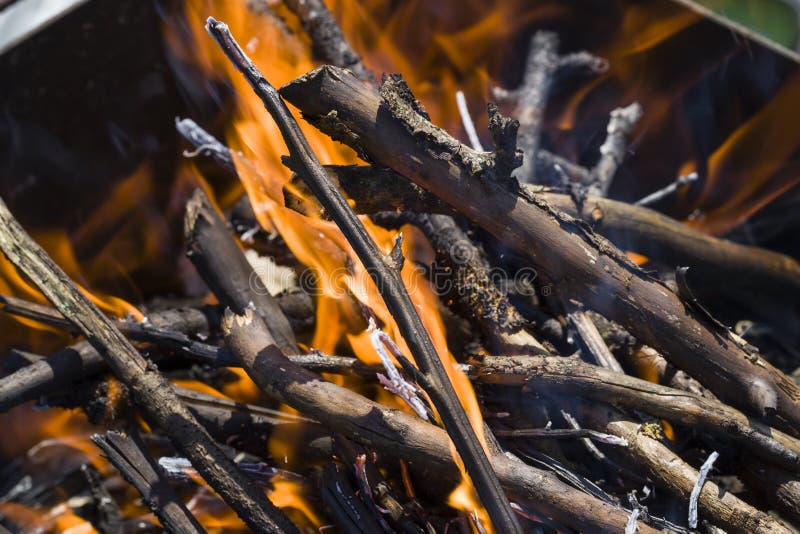 Branches Burning in the Fire Stock Image - Image of bright, campfire ...