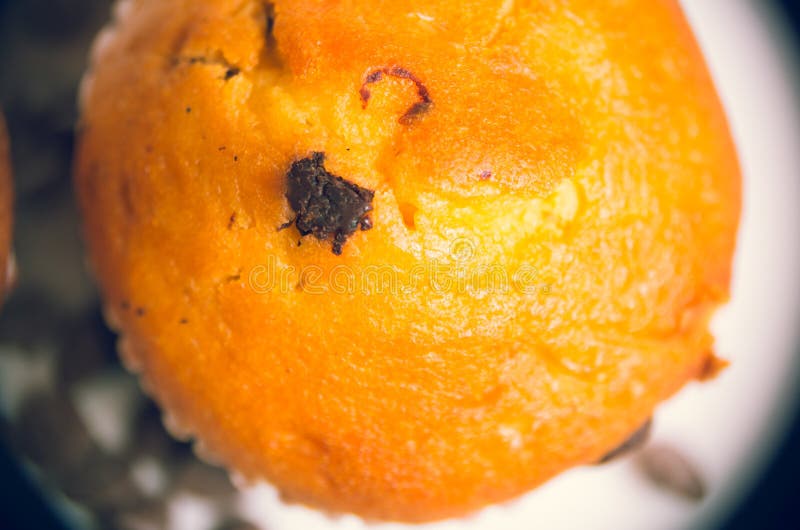 Closeup Breakfast Muffin As Seen from Above Stock Image - Image of ...