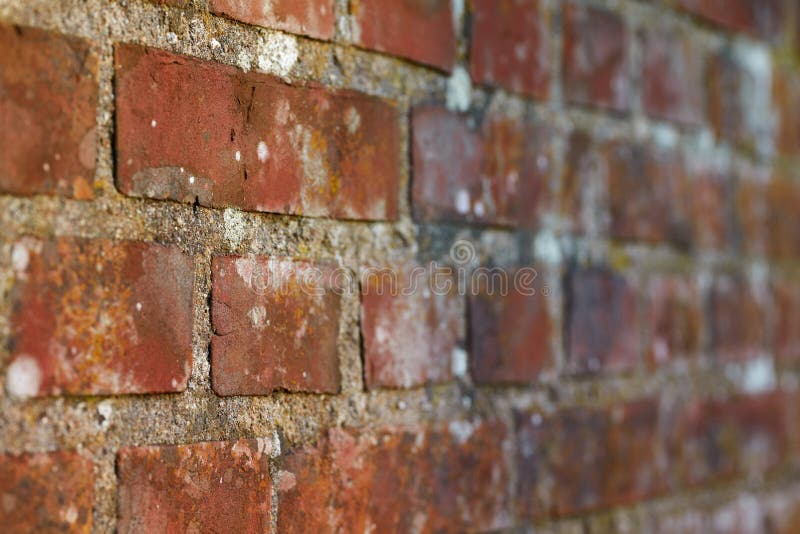 Closeup, Brick Wall or Mold with Damage or Weathered Concrete Surface ...