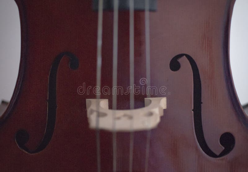 Closeup of the Bridge and F-hole of a Cello with a White Background ...