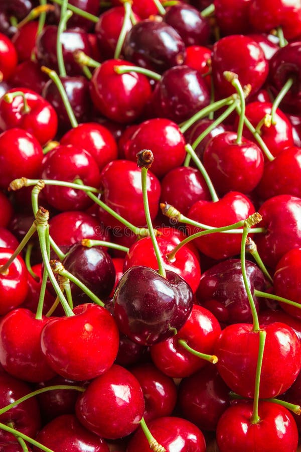 Bright Red Cherries Background Stock Photo - Image of bright, sweet ...