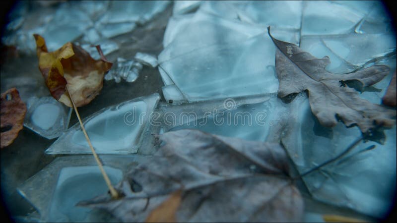 Closeup of Broken Glass in a Haunted Forest Stock Video - Video of ...