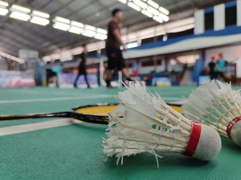 159 Broken Badminton Racket Stock Photos - Free & Royalty-Free Stock ...