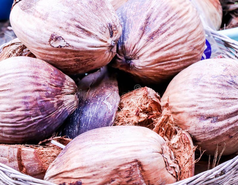 Closeup of Brown Dried Coconut in the Bucket Stock Photo - Image of ...