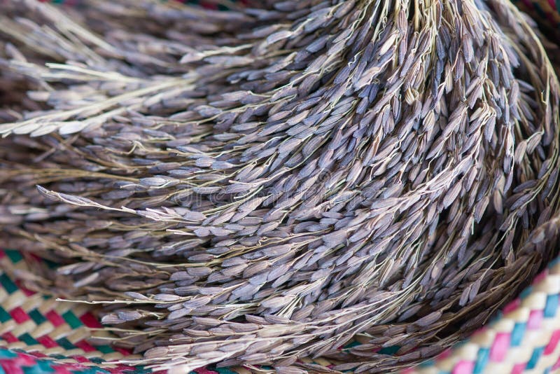 A Closeup of a Brown Ceramic Teapot. Stock Image - Image of spout ...