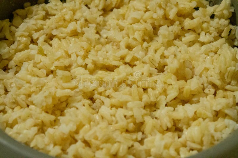 Closeup of Brown Rice stock photo. Image of closeup - 143791228
