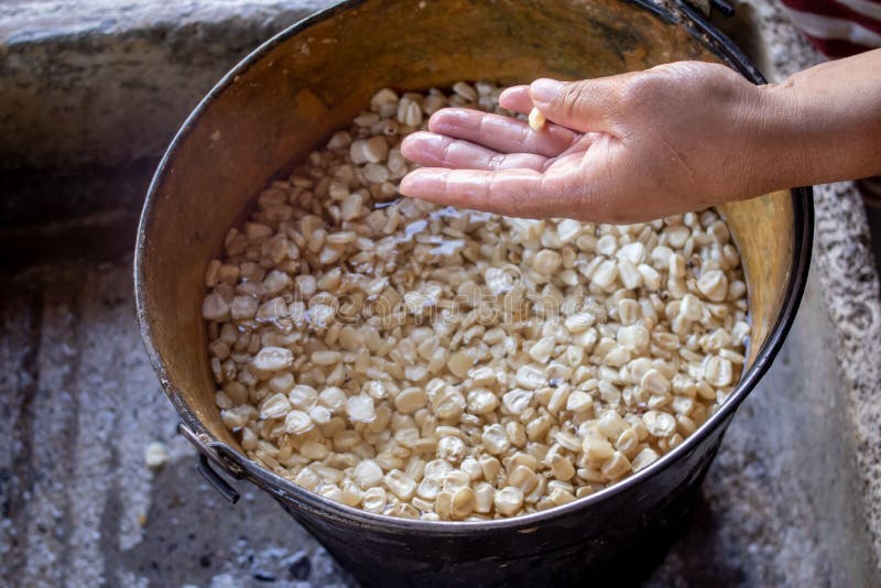 Closeup of a Bucket of Corn for Making Corn Tortillas. Stock Image ...
