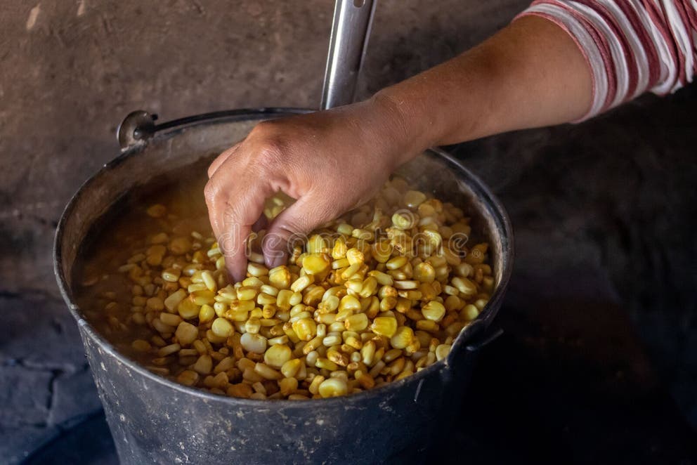 Closeup of a Bucket of Corn for Making Corn Tortillas. Stock Photo ...