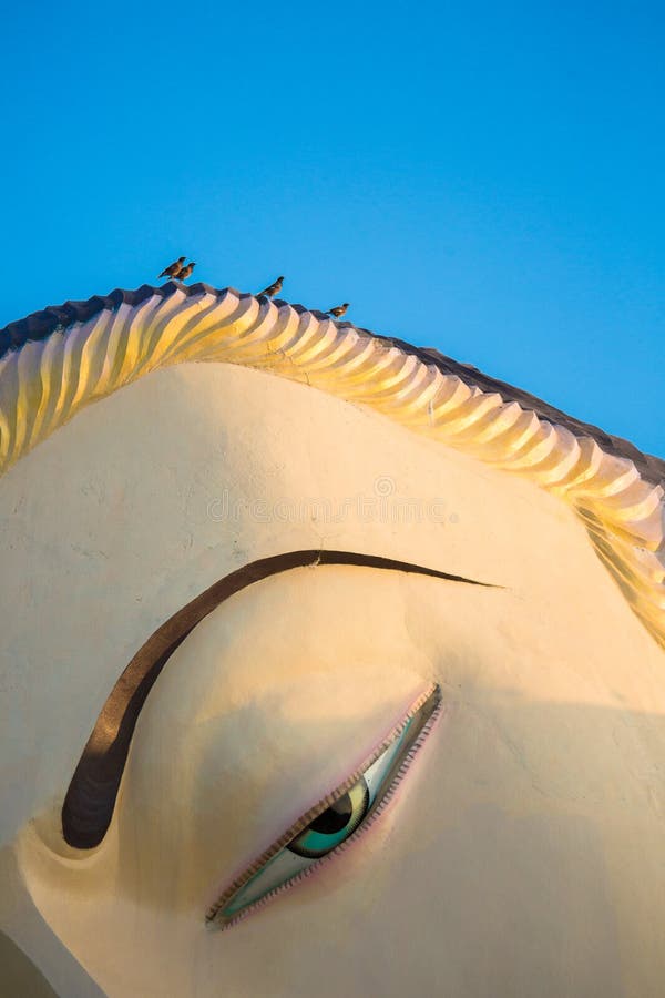 Closeup of Buddha Sculpture with Birds on Head Editorial Image - Image ...