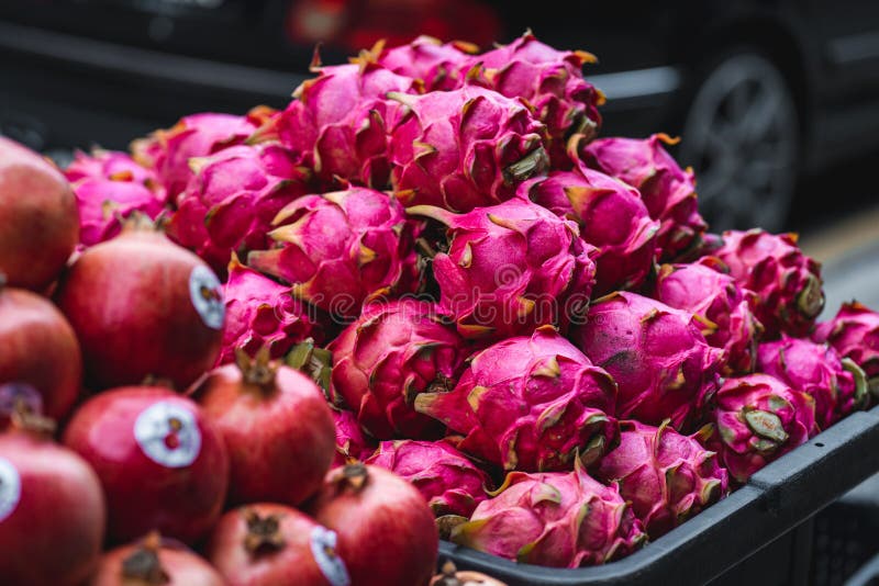 Closeup of Bunch of Pink Dragon Fruit Stock Image - Image of pile ...