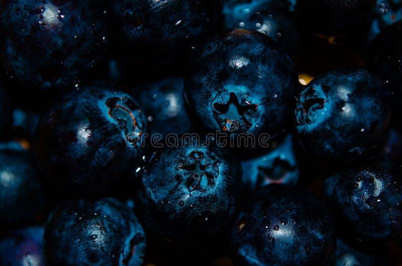 Closeup of a Bunch of Shiny Blueberries Stock Photo - Image of ...