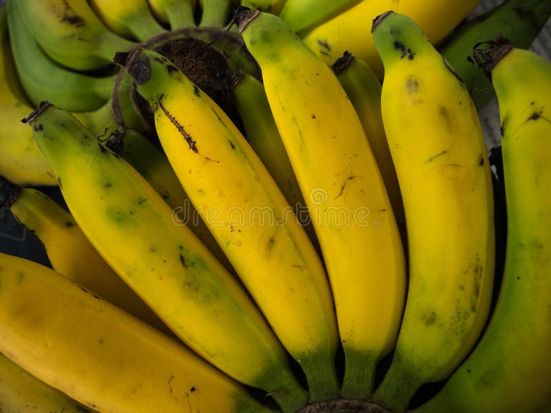 Bundle of banana stock image. Image of meal, fruit, growth - 68878755
