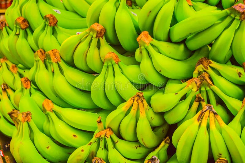 Closeup bundle of bananas stock photo. Image of bunch - 74831330