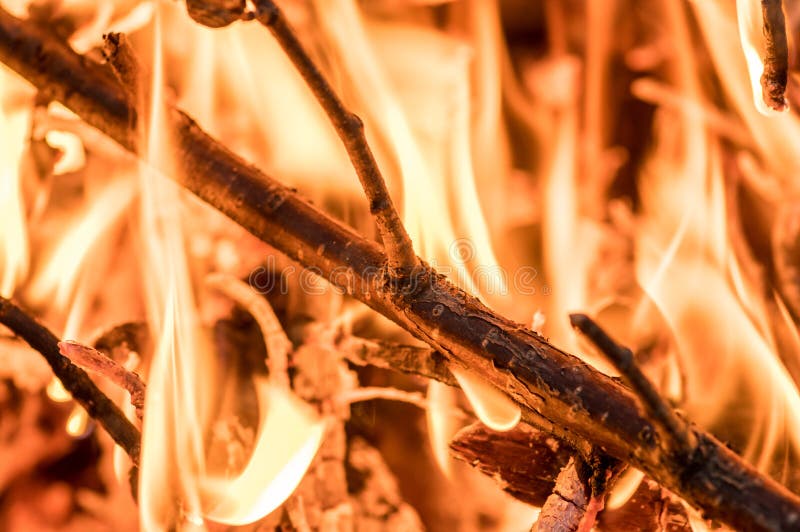 Closeup of Burning Branches and Twigs Stock Photo - Image of nature ...