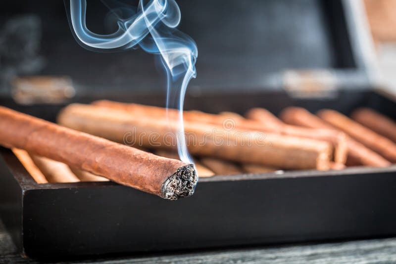 Closeup of burning cigar stock photo. Image of product - 37096212
