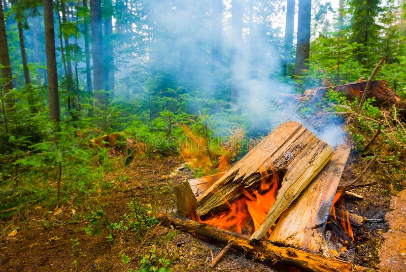 Camp Fire in Green Wet Forest Stock Photo - Image of scene, stick ...