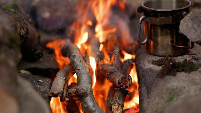 Closeup of a Campfire and Burning Tree Branches during Wild Camping in ...