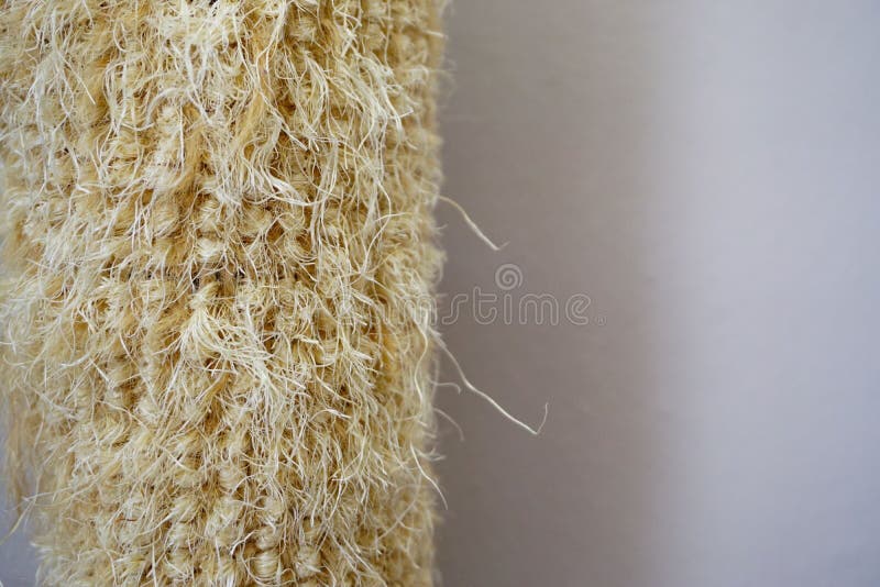 Closeup of a Cat Scratch Mat Against the White Wall Stock Image - Image ...