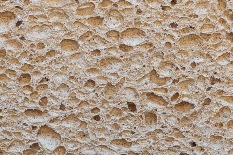 A Closeup of Cellulose Sponge Texture Details Stock Photo - Image of ...