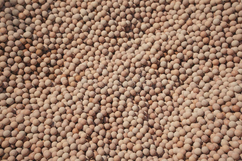 Closeup of Ceramic Balls Called Hydroball Stock Photo - Image of ...