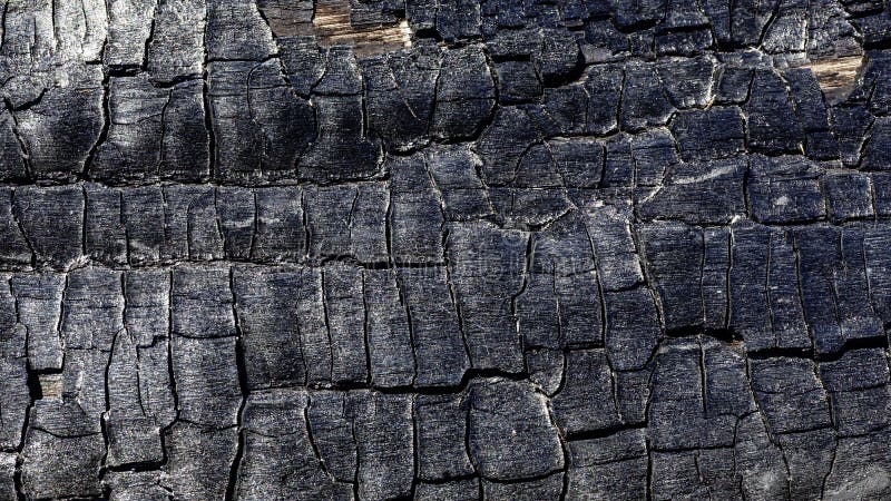 Closeup of Charred Wood Background Stock Photo - Image of black ...