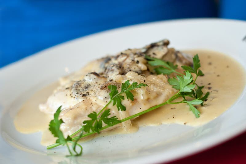 Flavour stock image. Image of flavour, apple, onion, meat - 47995747