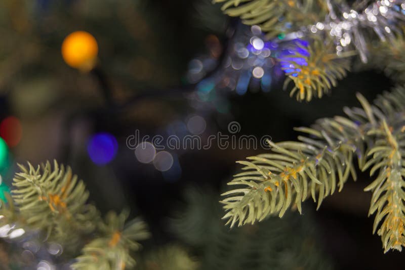Closeup on Christmas Tree with Colorful Lights Stock Image - Image of ...