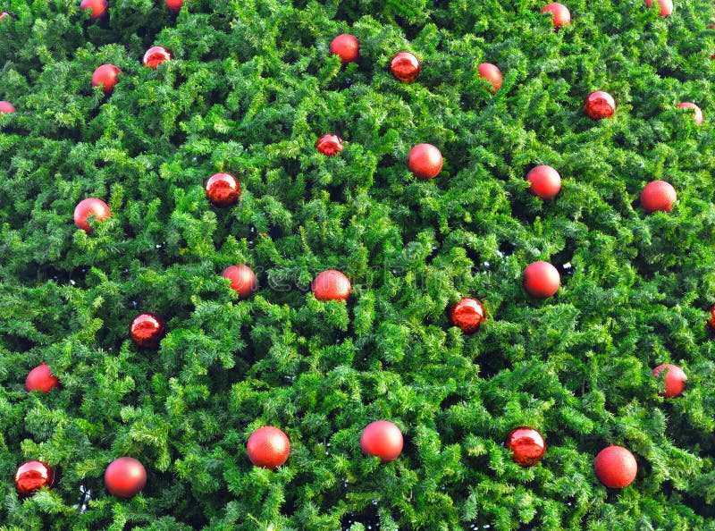 Closeup Christmas Tree with Red Ball Stock Image - Image of ornament ...