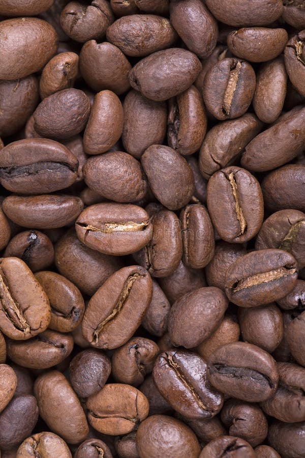 City roast coffee stock photo. Image of java, delicious - 29937858