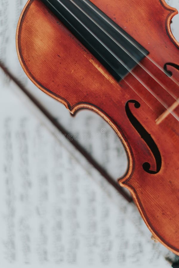 Closeup of a Classical Violin on a White Surface Stock Image - Image of ...