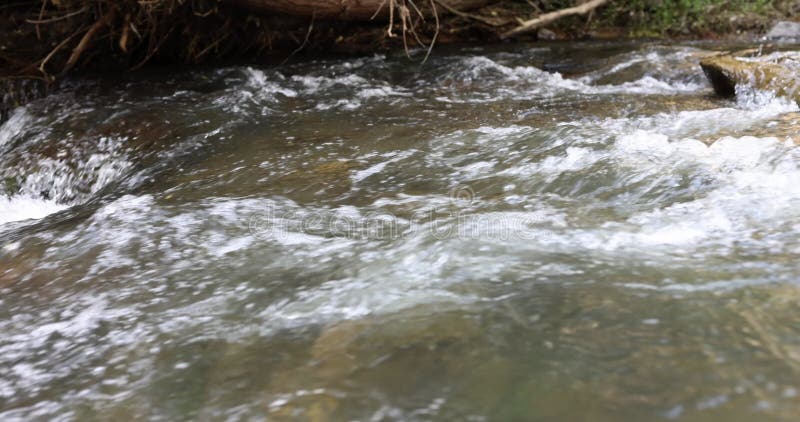 Closeup of Clear Water Flowing in Small Mountain River Stock Video ...
