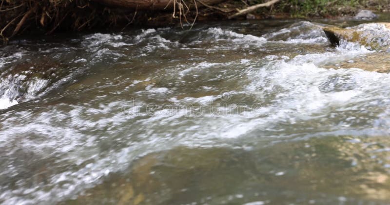 Closeup of Clear Water Flowing in Small Mountain River Stock Video ...