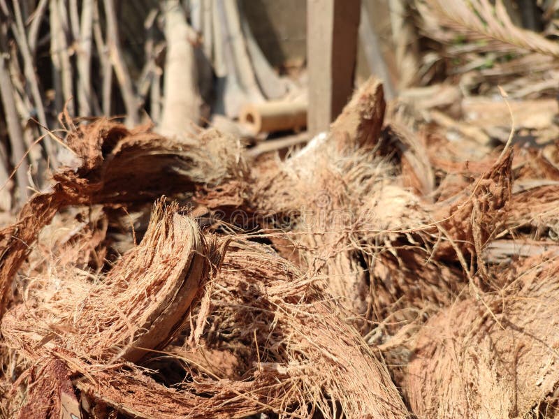 Coconut fiber texture stock photo. Image of fiber, backdrop - 20761996