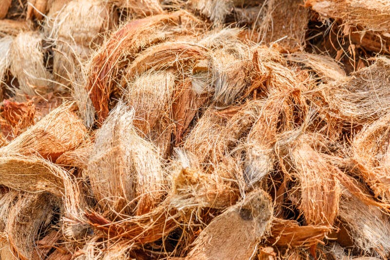 Coconut fiber texture stock photo. Image of fiber, backdrop - 20761996