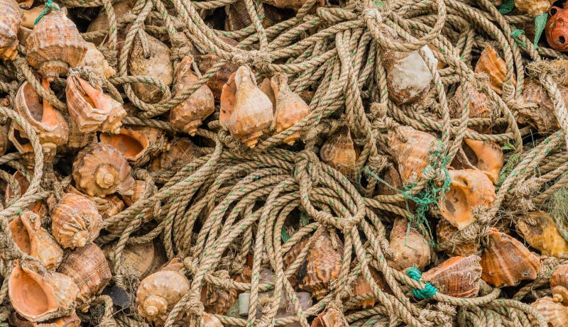 Closeup of Collection of Large Fishing Nets Stock Photo - Image of ...