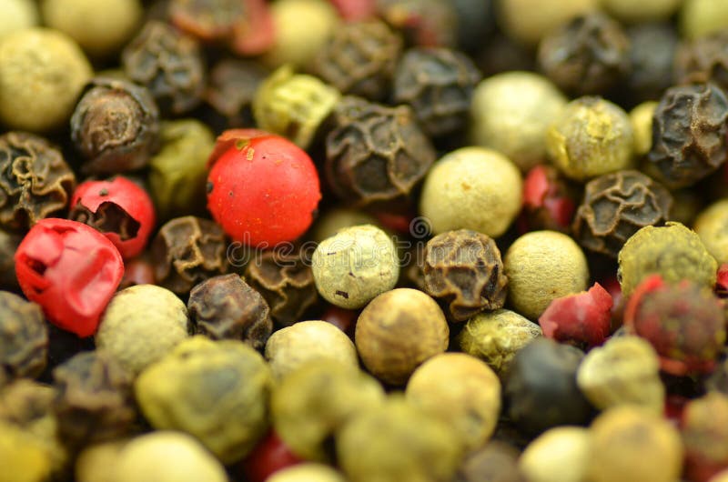 Closeup of colored pepper stock image. Image of cuisine - 39299107