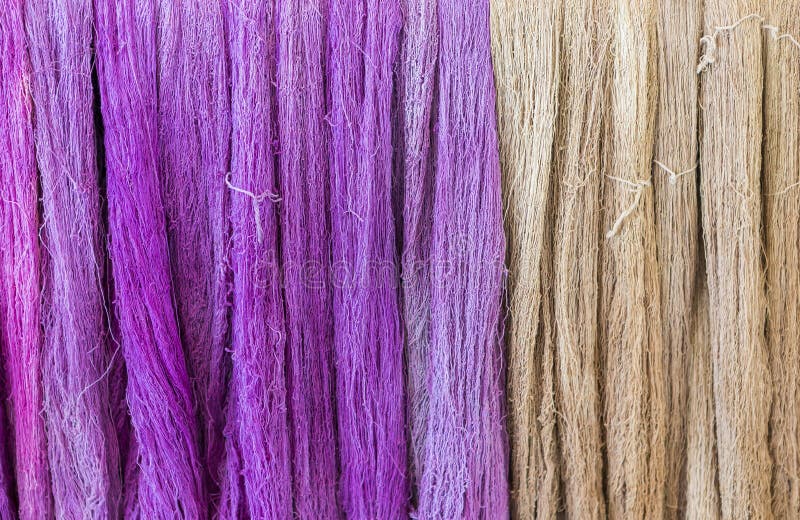 21,287 Raw Cotton Stock Photos - Free & Royalty-Free Stock Photos from ...