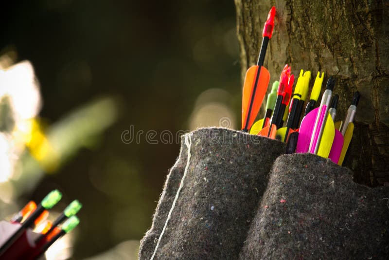 Closeup of Colorful Archers Arrows Leaning on Tree Stock Photo - Image ...