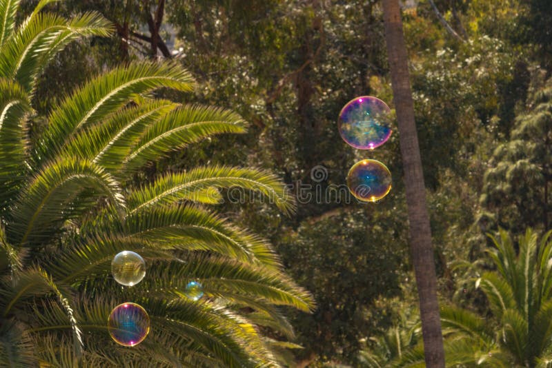 Closeup of Colorful Bubbles Floating in Background of Trees Stock Image ...