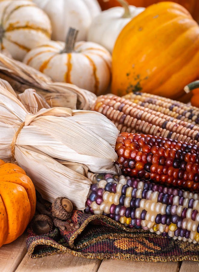 Fall Indian Corn Decoration Stock Image - Image of thanksgiving, fall ...