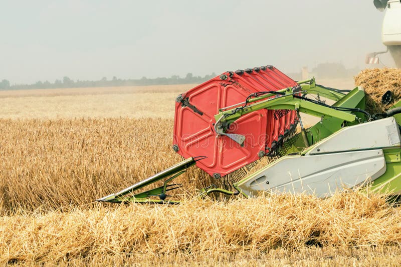 Closeup Combine Harvesting a Wheat Field. Combine Working Stock Photo ...