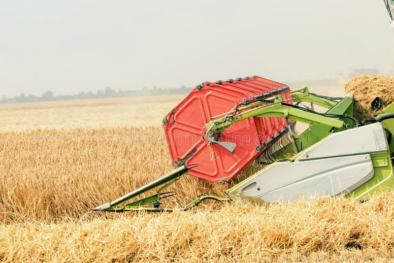 Closeup Combine Harvesting a Wheat Field. Combine Working the Field ...